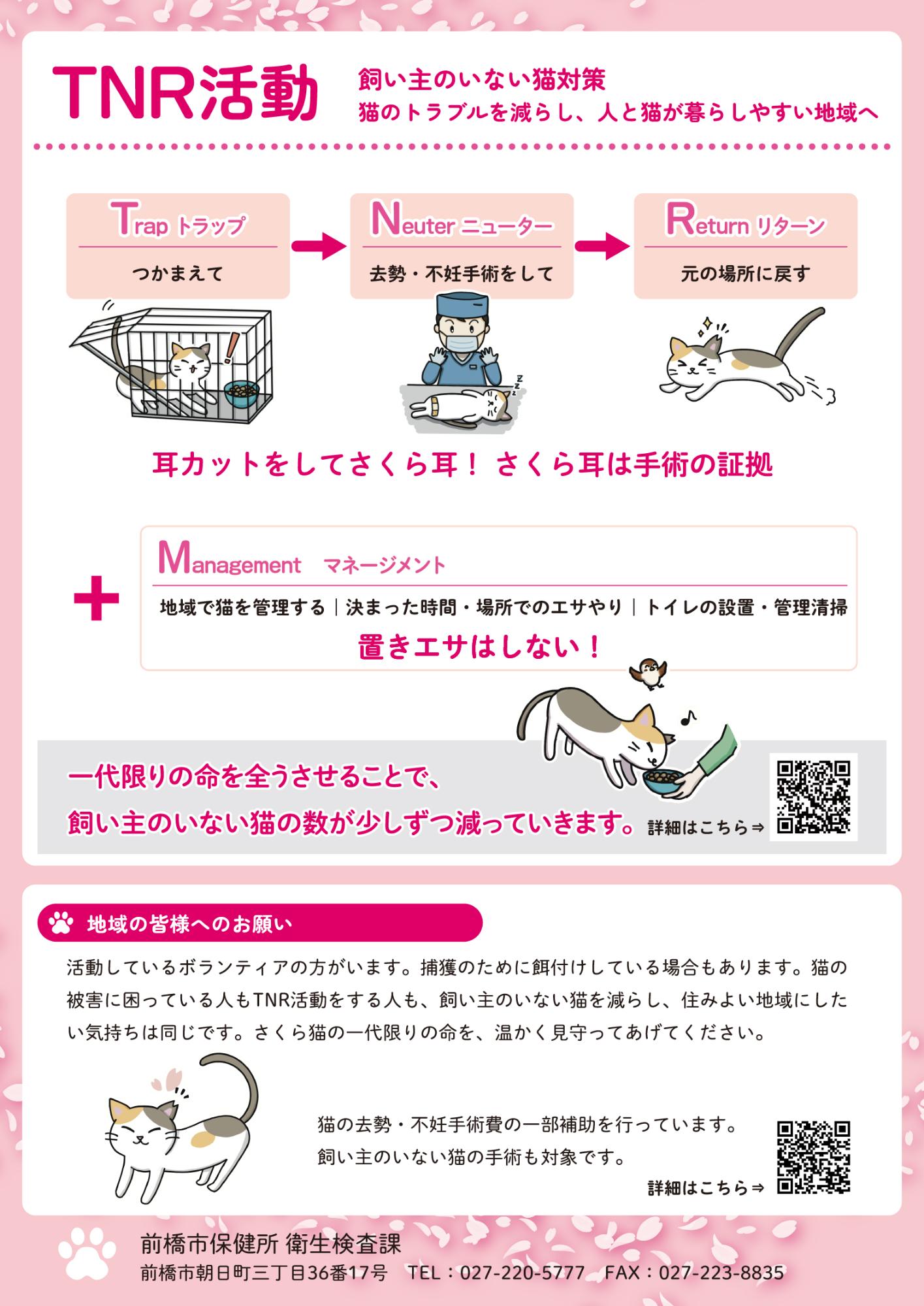 飼い主のいない猫対策 TNR活動のご案内／前橋市
